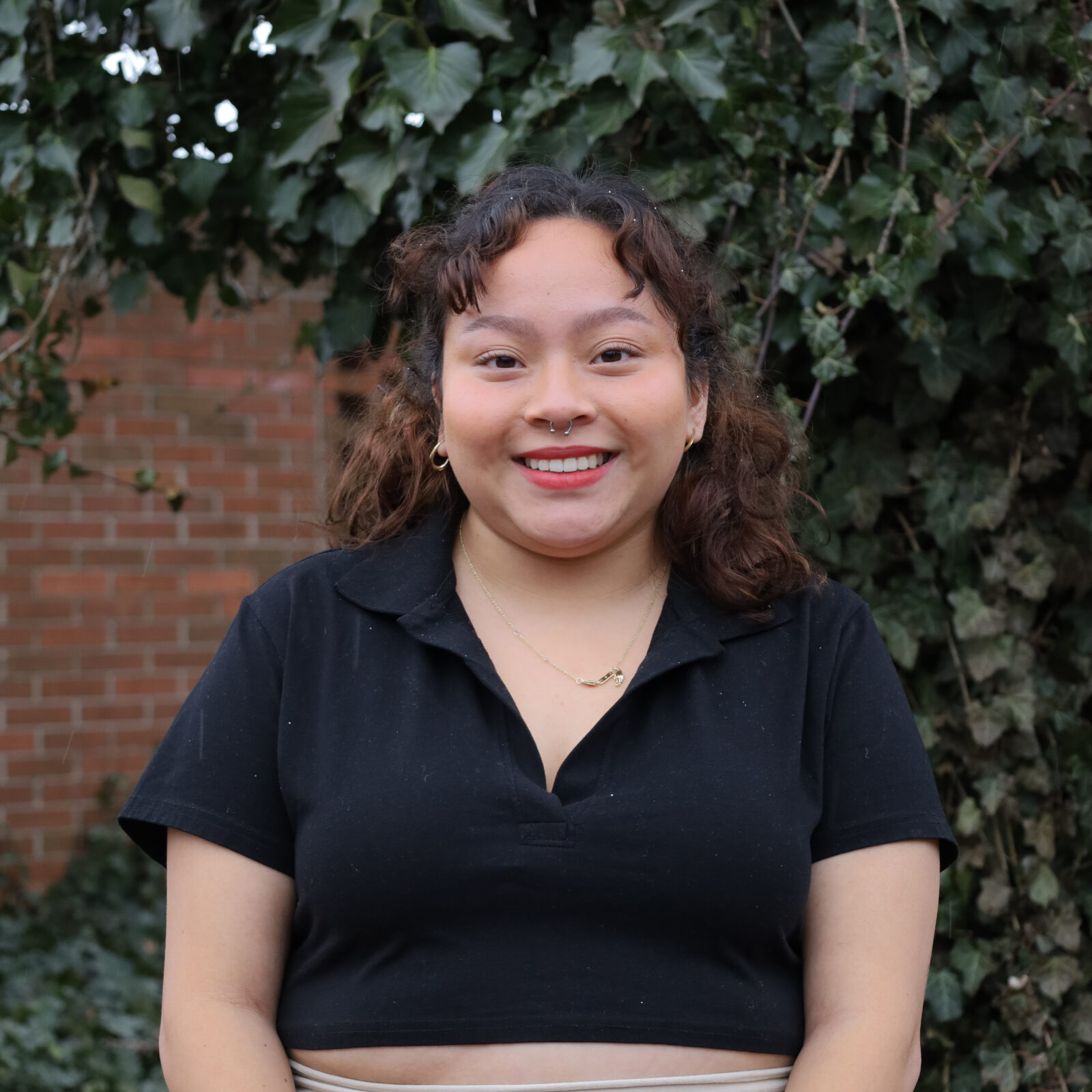 The Record - The Record